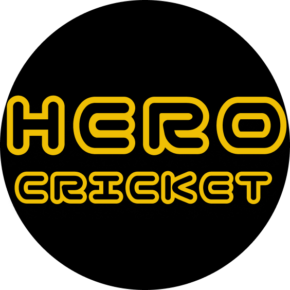 Perfect Cricket Bat – Hero